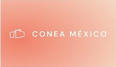 Aneic.mx | Comité Directivo Nacional